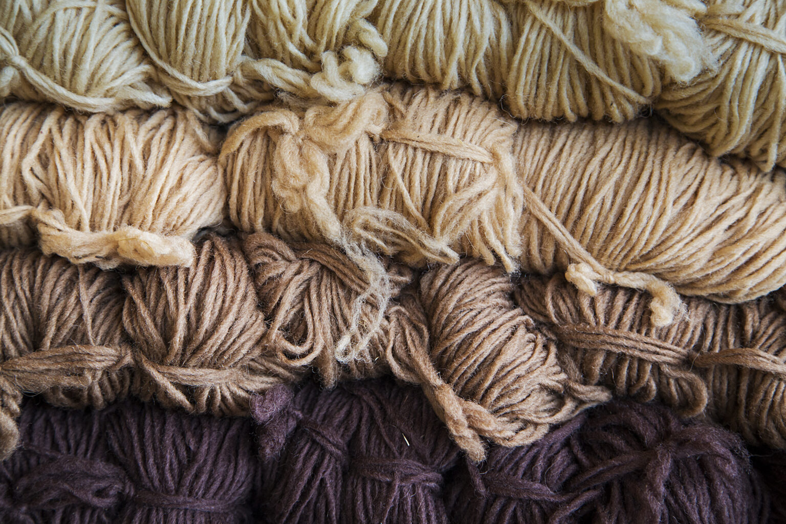 Eine Welt voller Wolle: Eine Übersicht über die verschiedenen Quellen ...